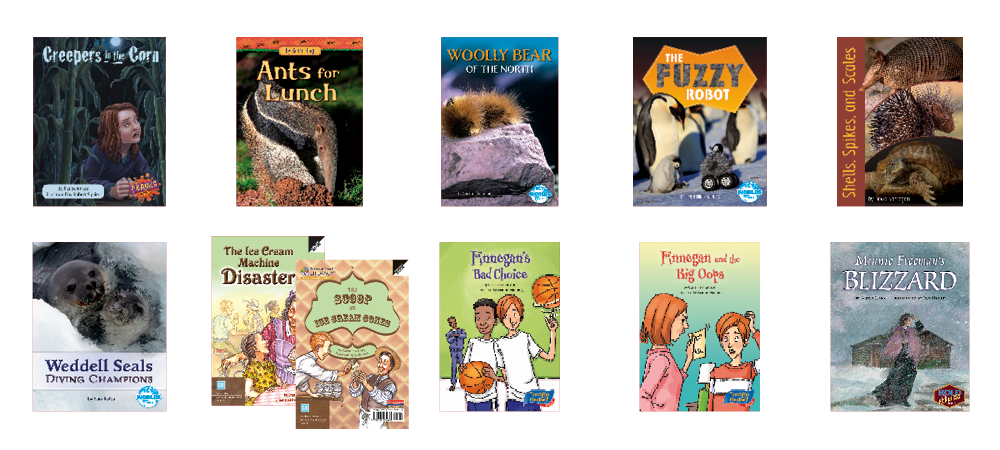 Fountas and Pinnell Guided Reading Text Level Set 3O2 by Irene Fountas,